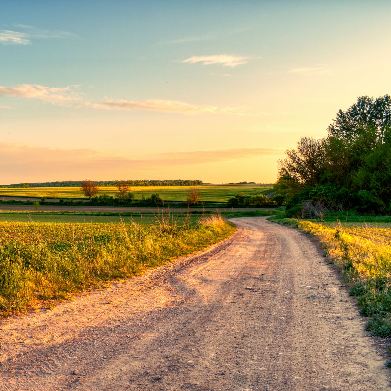Bringing Cognitive Remediation Therapy (CRT) to Where People Live ...